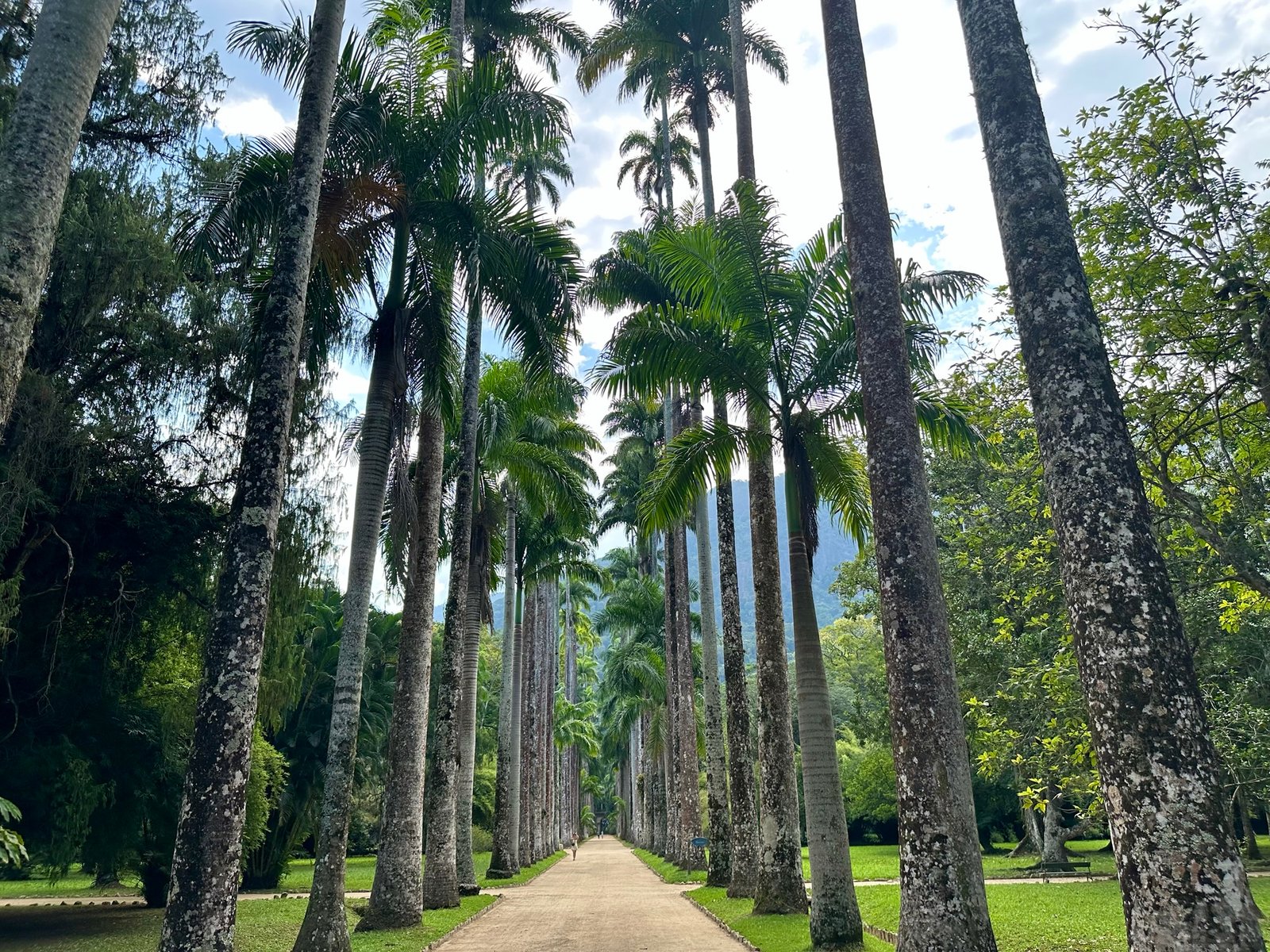 Brazil Safety Guide: What Tourist Need to Know Before Visiting - Abby's ...